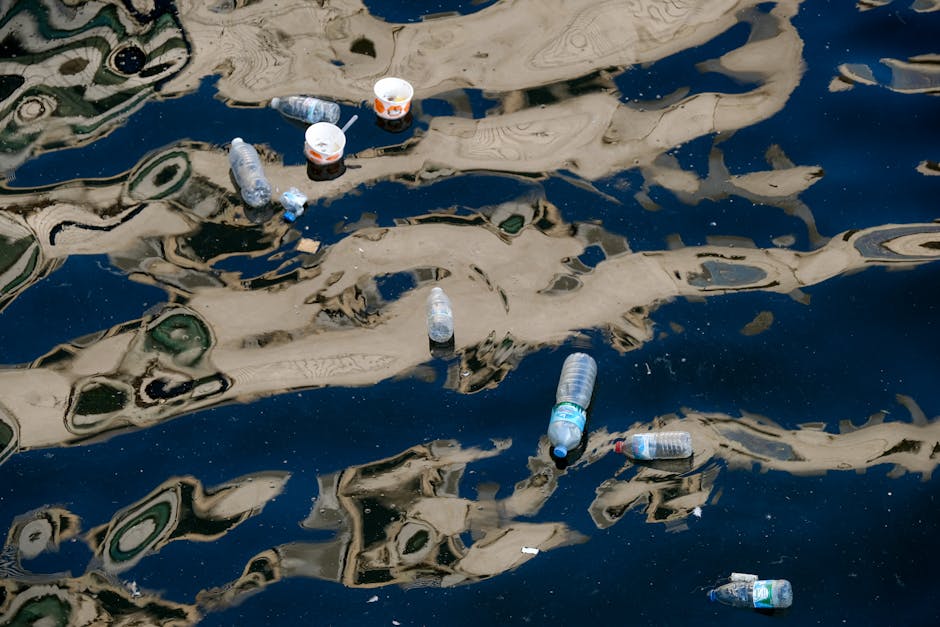 The Great Pacific Garbage Patch: Size, Location, and Latest Data | Stop ...